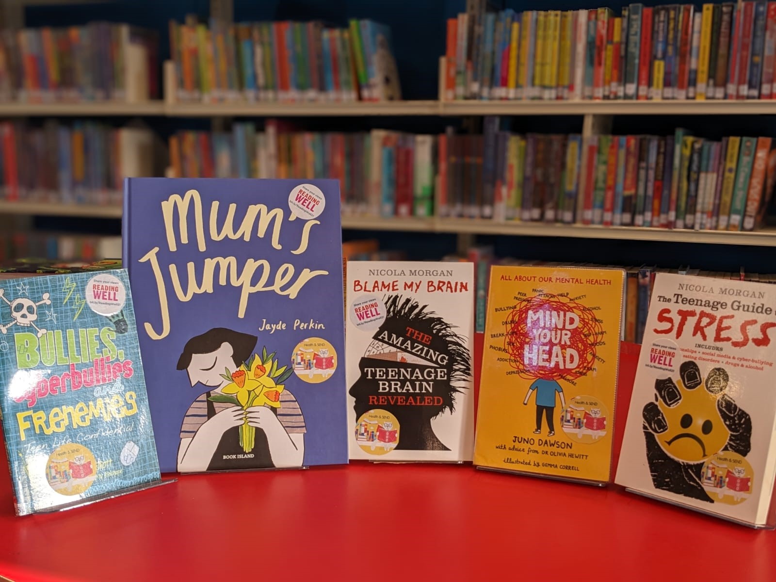 SEND Collection - Lincs Inspire
